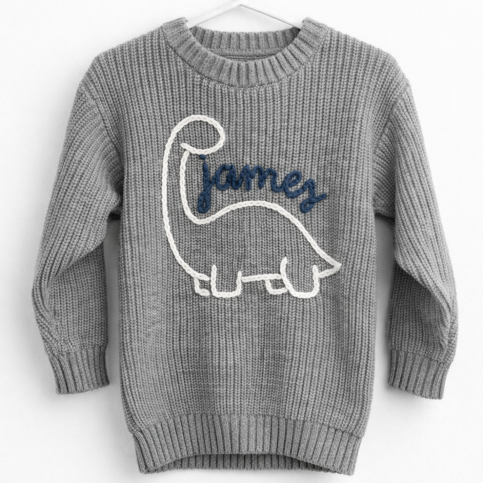 Dinosaur Hand Embroidered Sweater | Amazing Faith Designs