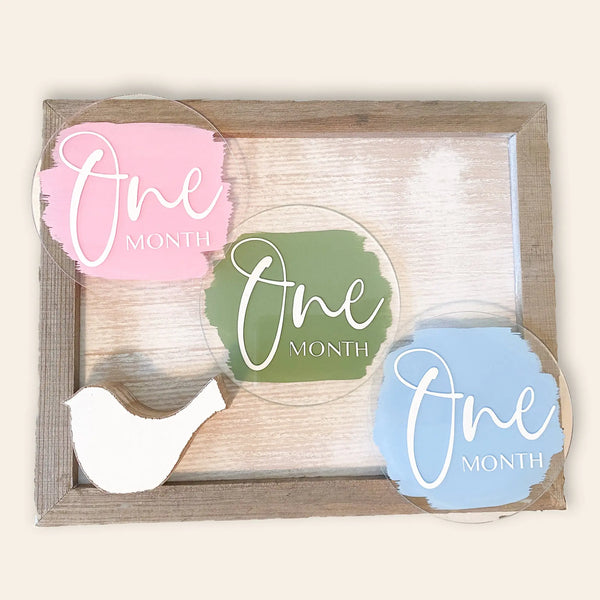 Acrylic Baby Milestone Discs - Monthly Birth Announcement Rounds